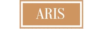 Expertise-comptable ARIS